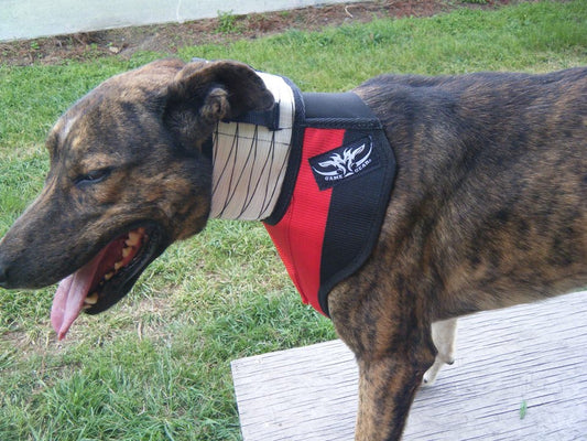 Hunting Dog Chest Plates - Game Gear – Game Gear NZ
